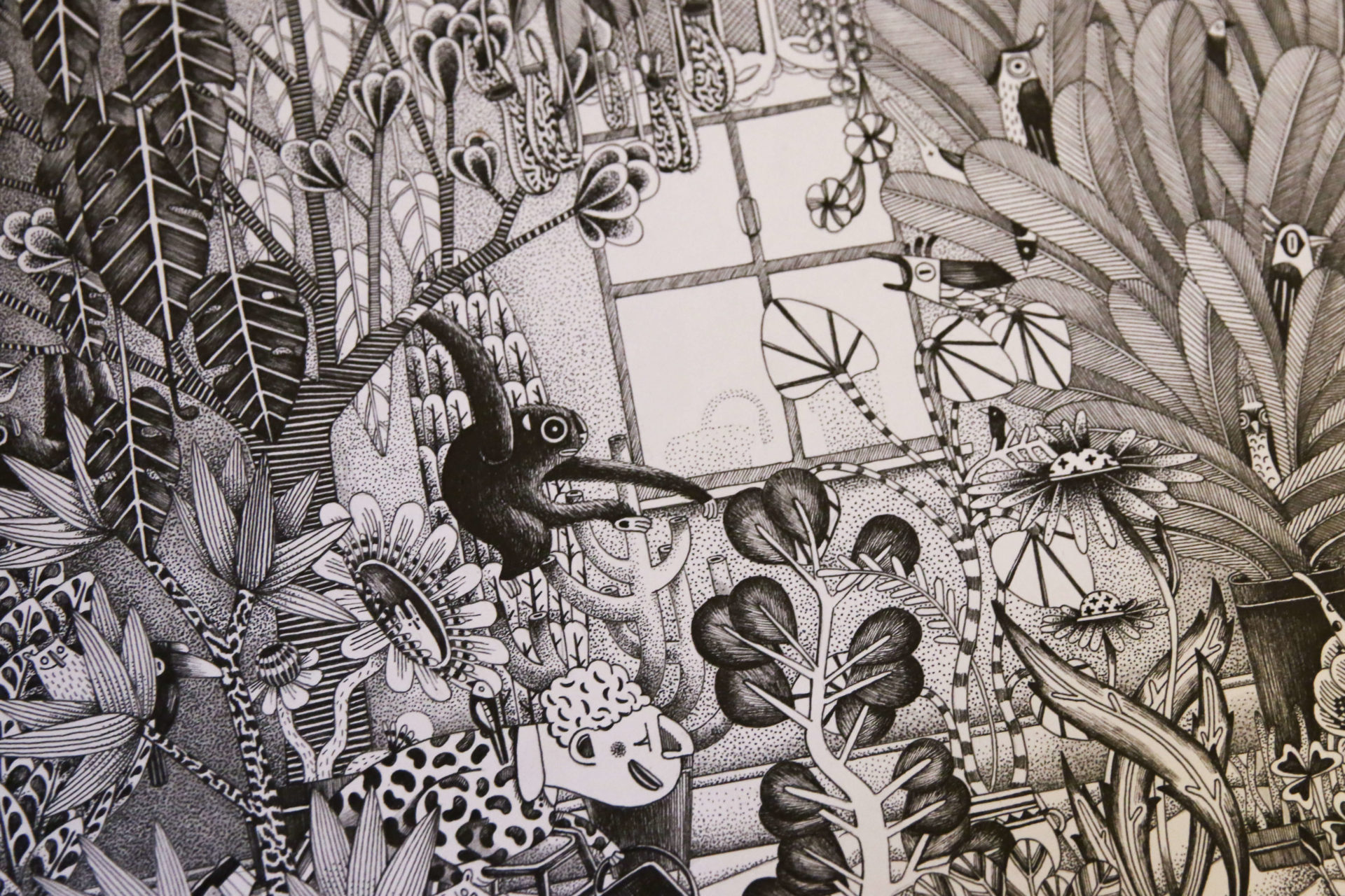 Interview Marion Arbona, Illustratrice | Souffle Chaud